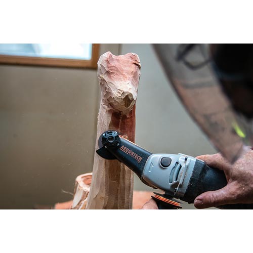 Arbortech Mini Carver Complete